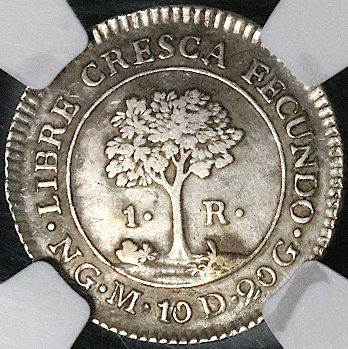 1824-NG NGC XF 40 Central American Republic 1 Real Guatemala Silver Co ...