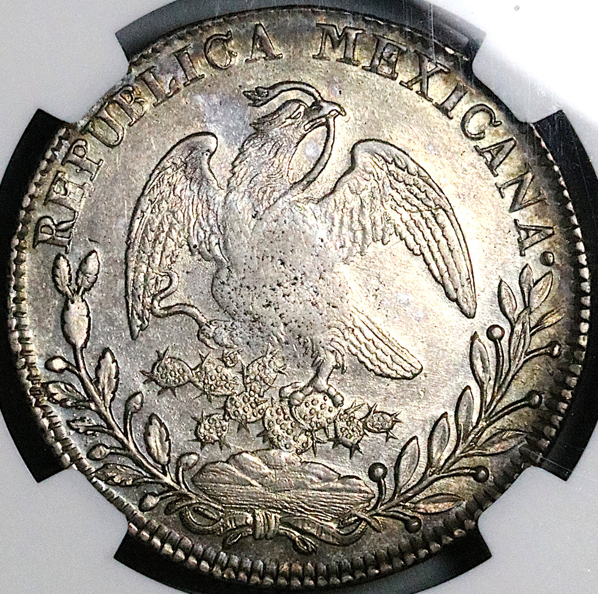 1829-Zs OV NGC AU 53 Mexico 8 Reales Zacatecas Mint Rare Silver Coin P – Caesar's Ghost Numismatics