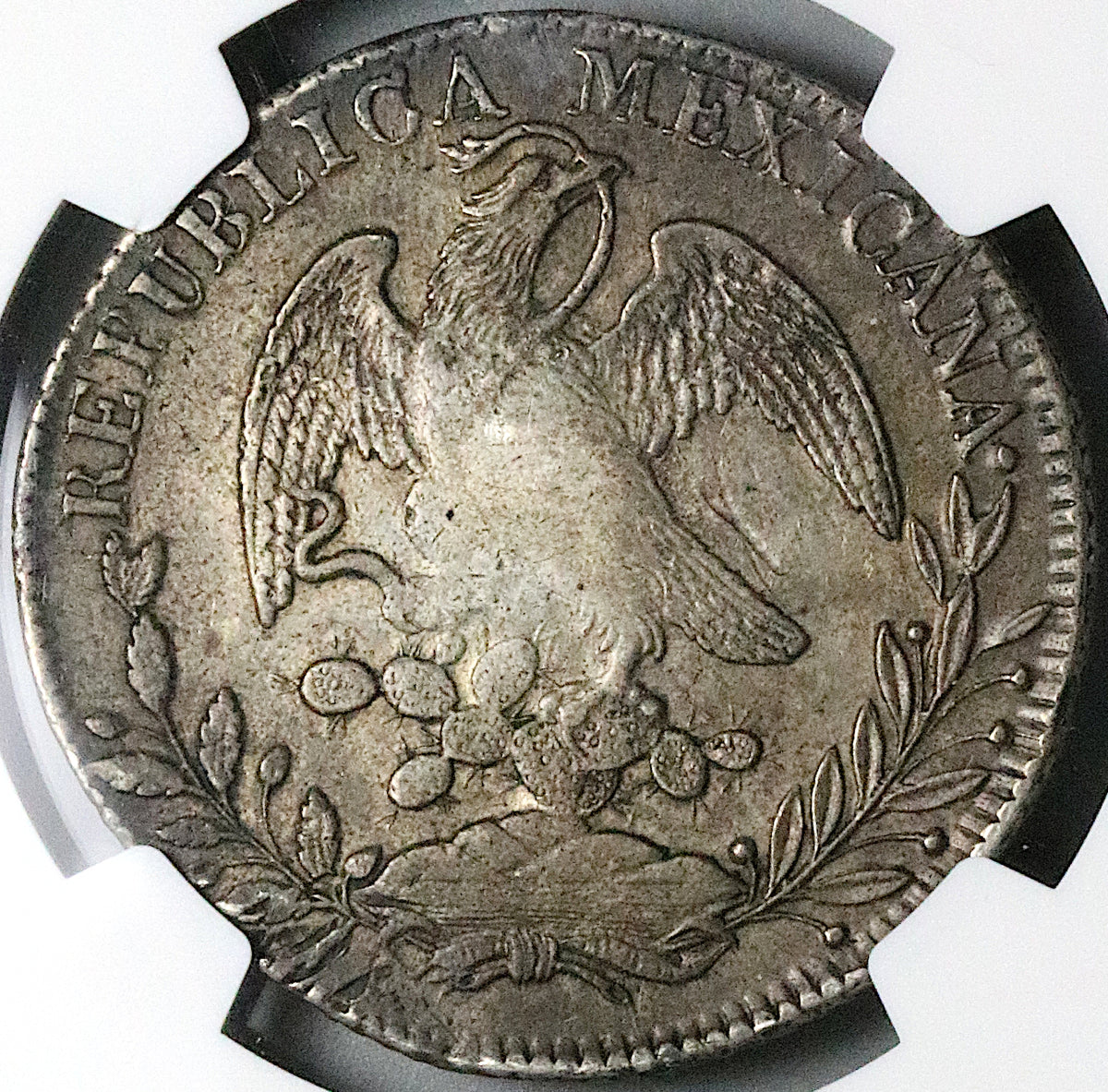 1832-Zs NGC XF 45 Mexico 8 Reales Zacatecas Mint Cap Rays Silver Coin ...