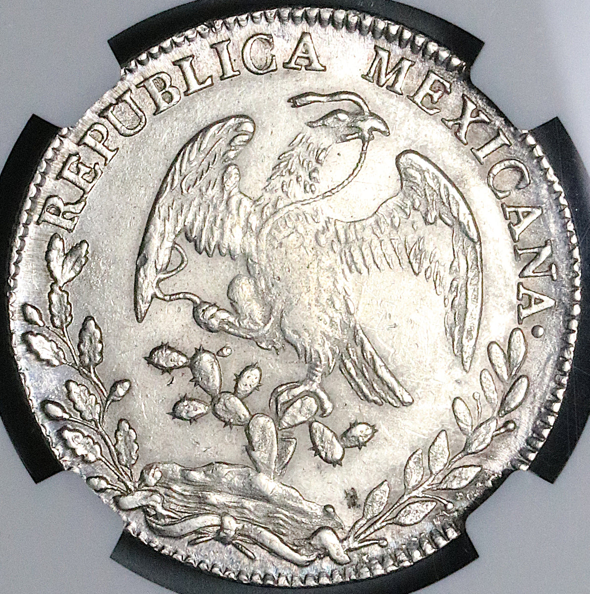 1833-Mo MJ NGC MS 62 Mexico City 8 Reales Rare Silver Coin POP 2/5 (24 ...