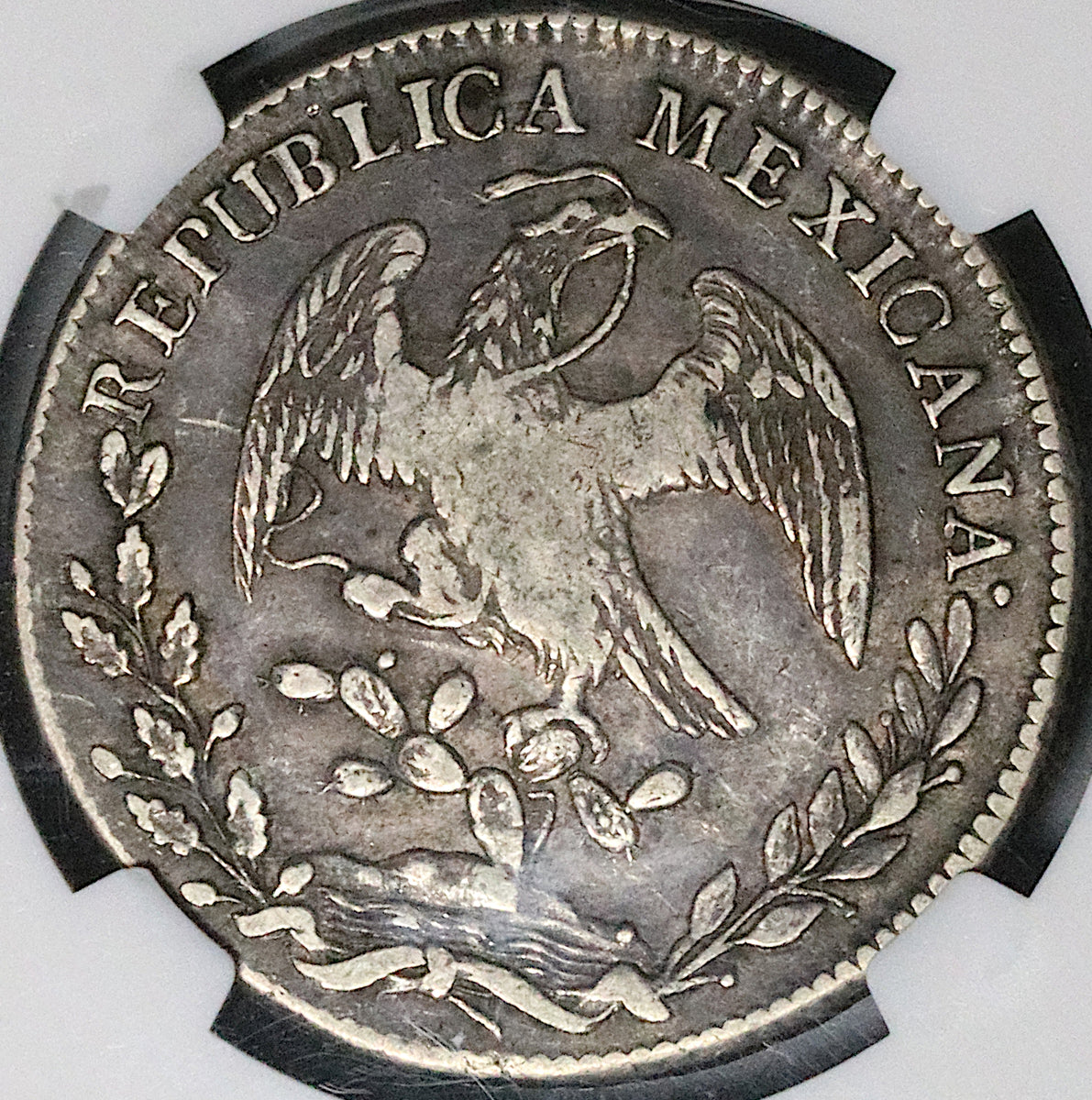 1836-Mo ML/F NGC VF 30 Mexico 8 Reales Rare Cap Rays Silver Coin (2408 ...