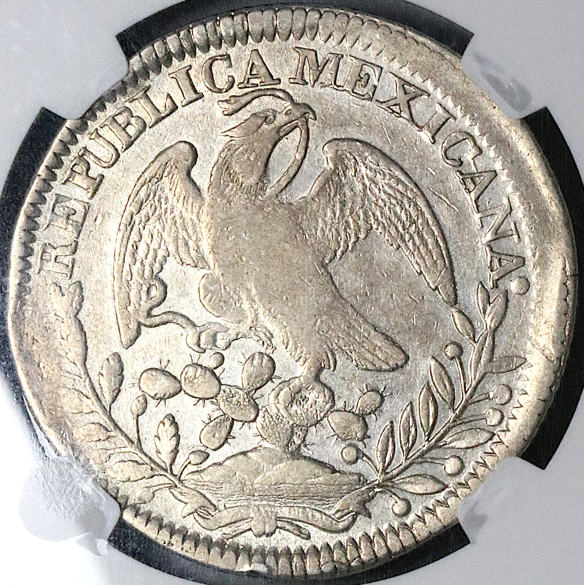 1840-Zs NGC AU 50 Mexico 8 Reales Zacatecas Cap Rays Silver Coin (2403 ...