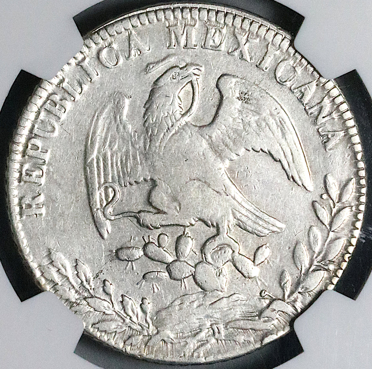 1843-Ca NGC XF Mexico 8 Reales Chihuahua Mint Rare Silver Coin (240428 ...