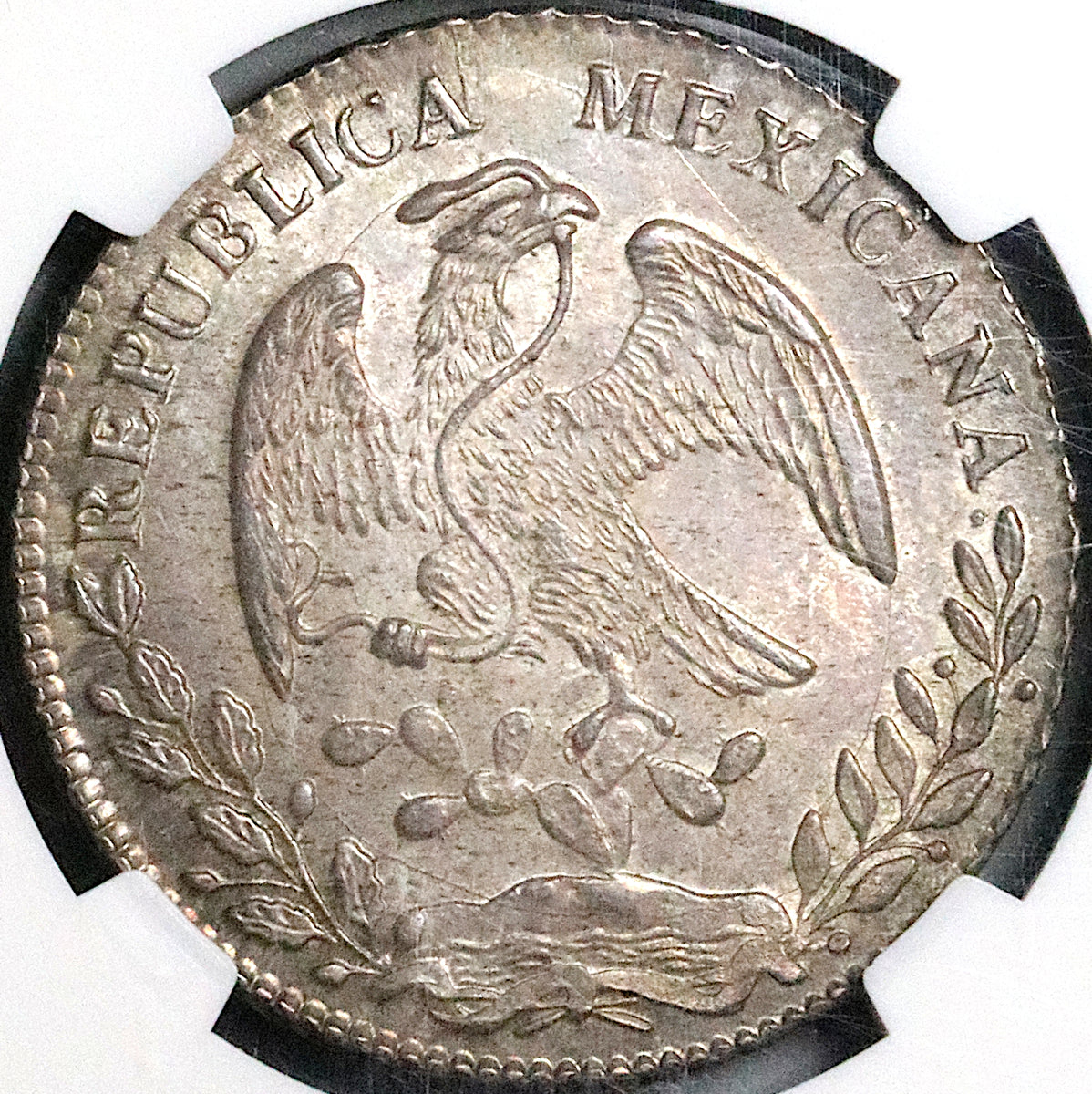 1884-Ca NGC MS 63 Mexico 8 Reales Cap Rays Silver Coin POP 5/7 (240527 ...