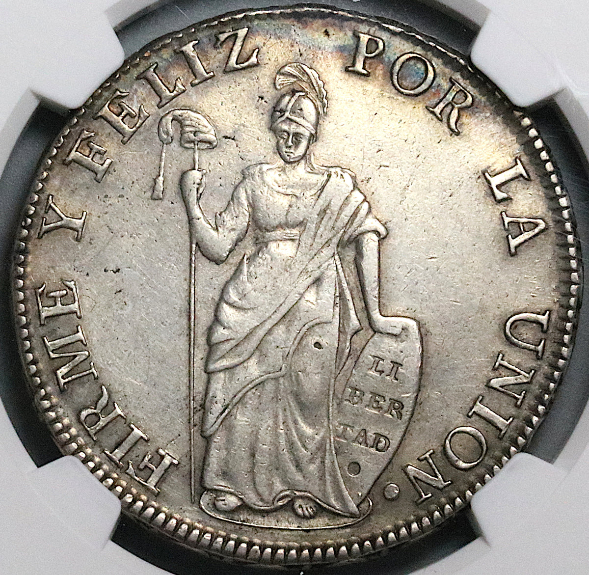 1833 NGC AU Peru 8 Reales Cuzco-BoAr Rare Standing Liberty Silver Coin ...