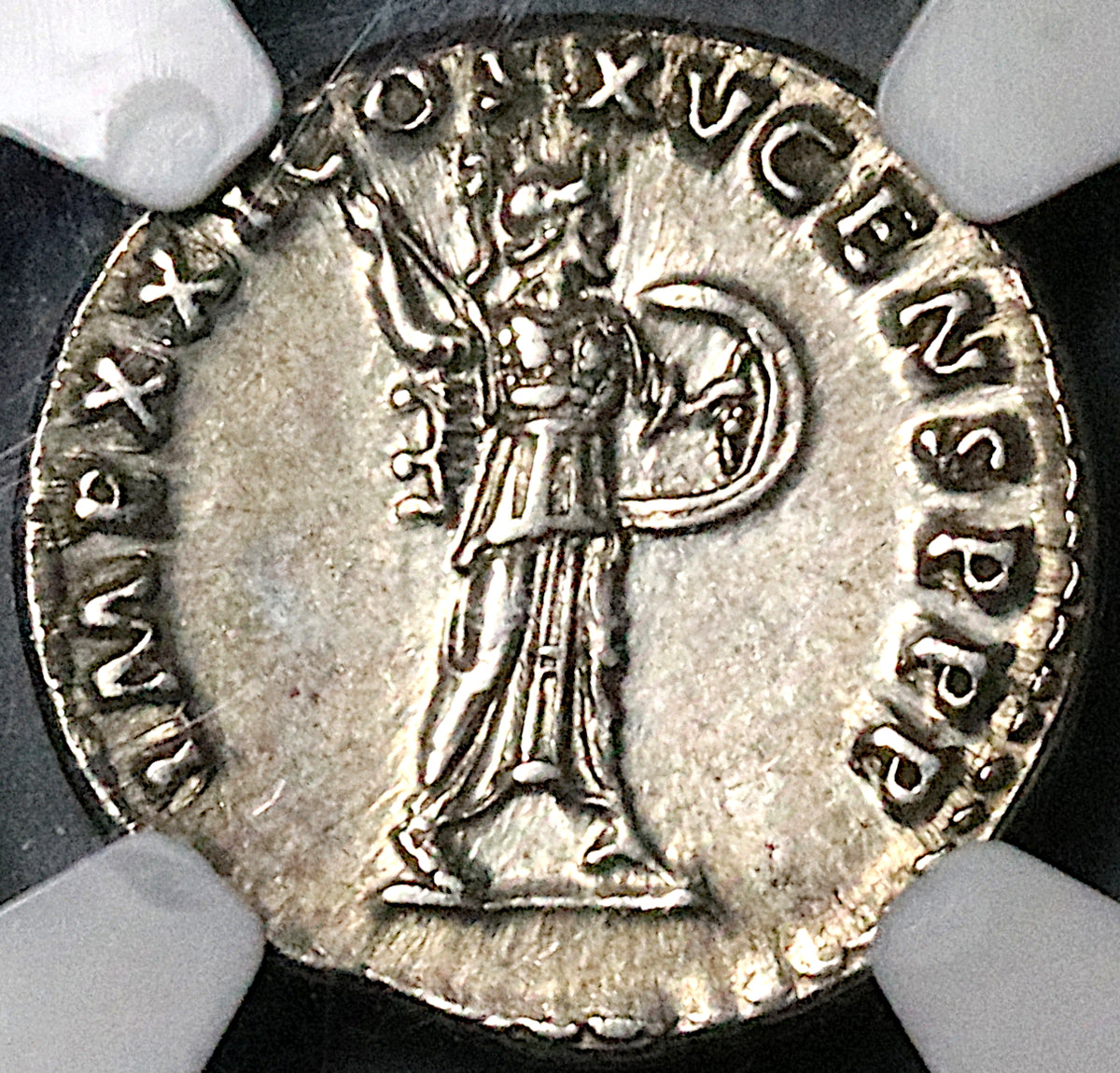 90 NGC Ch XF Domitian Roman Empire Denarius Minerva Shield Javelin (24 ...