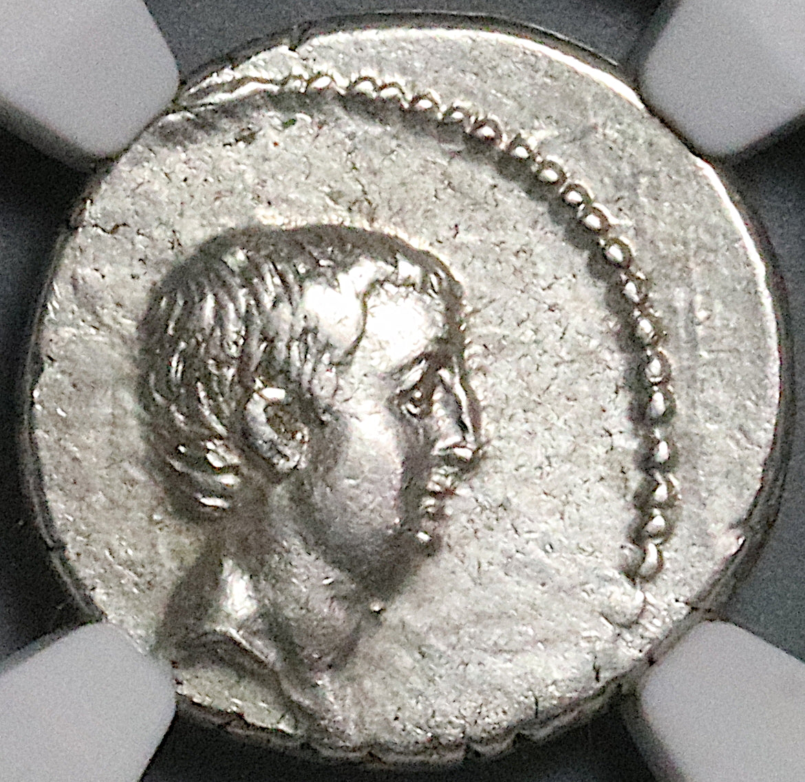 42 BC NGC Ch VF Regulus Roman Imperatorial Denarius Bestiari Gladiator ...