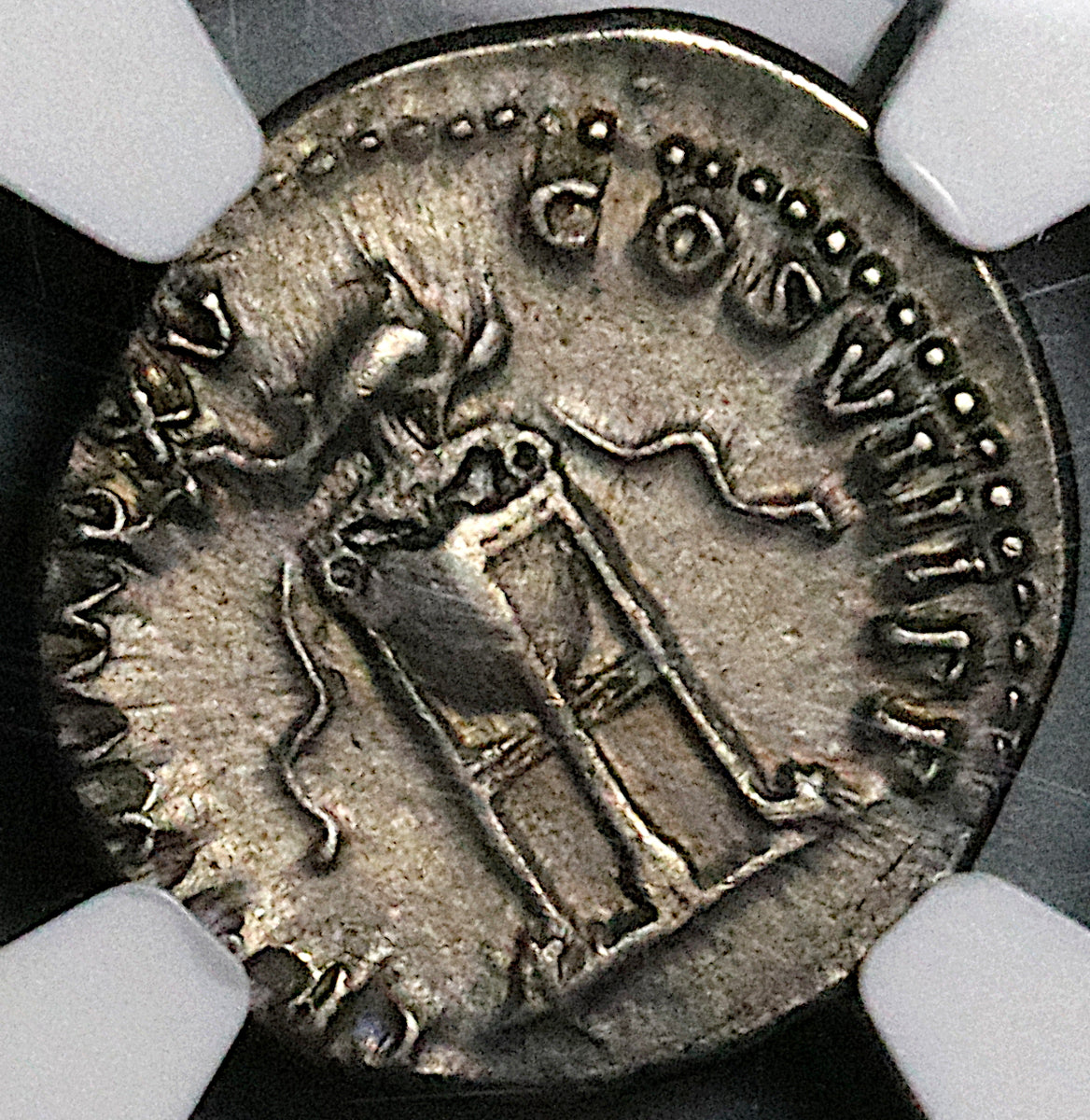 80 NCG XF Titus AR Denarius Roman Empire Tripod Dolphin Coliseum Pompe ...