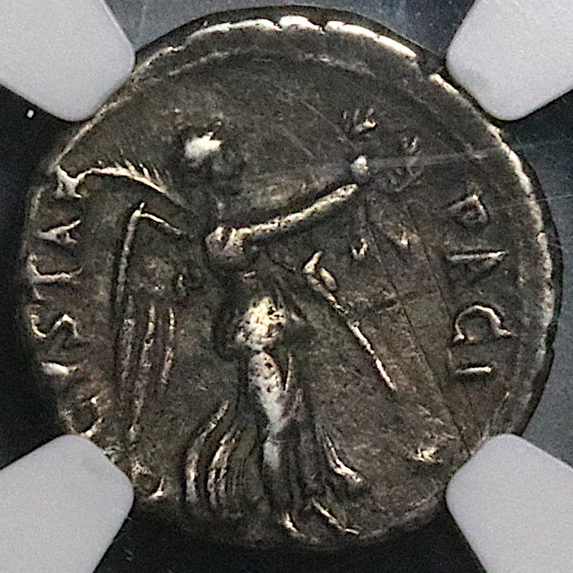 74 NGC VF Titus Denarius Roman Empire Caesar Rare Ephesus Mint Victory ...