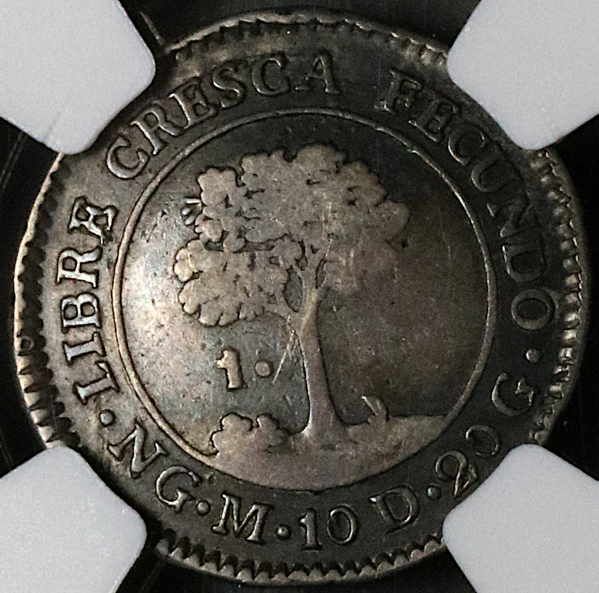 1824-NG NGC VF 35 Central American Republic 1 Real Guatemala Silver Co ...