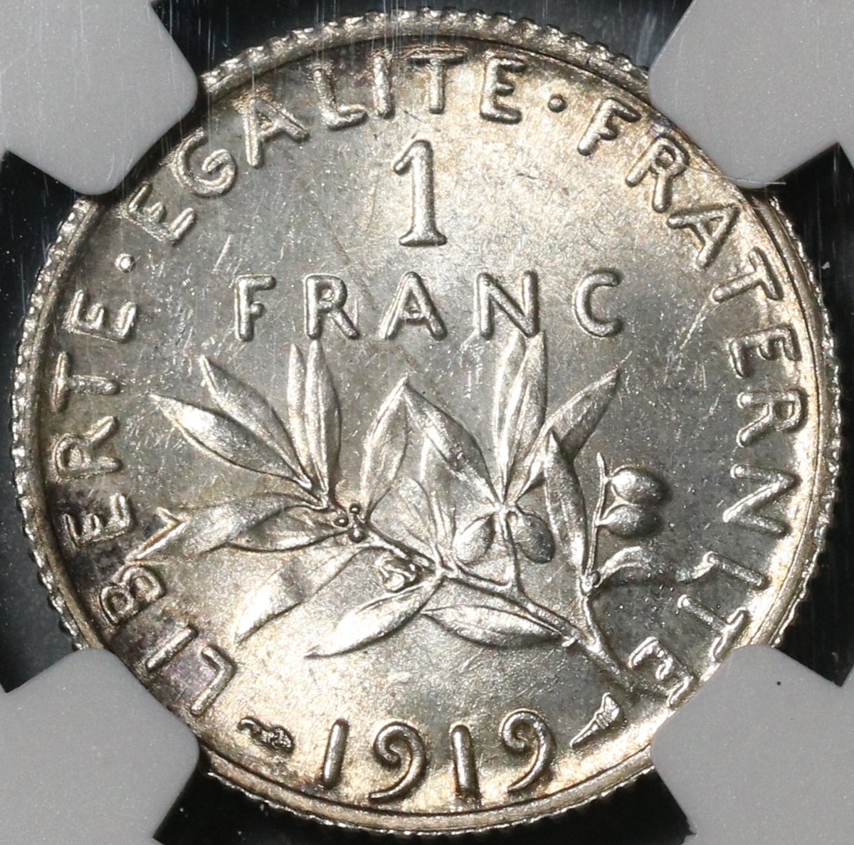 1919 NGC UNC Det France 1 Franc Sower Silver Uncirculated Coin (210308 ...