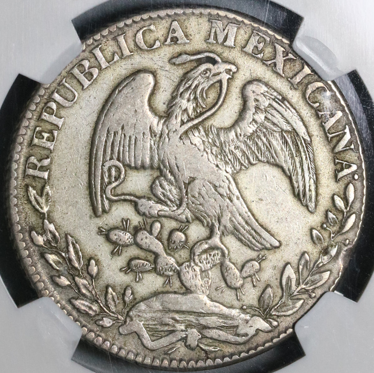 1833-Go JM NGC AU Det Mexico 8 Reales Guanajuato RARE Silver Coin (210 ...