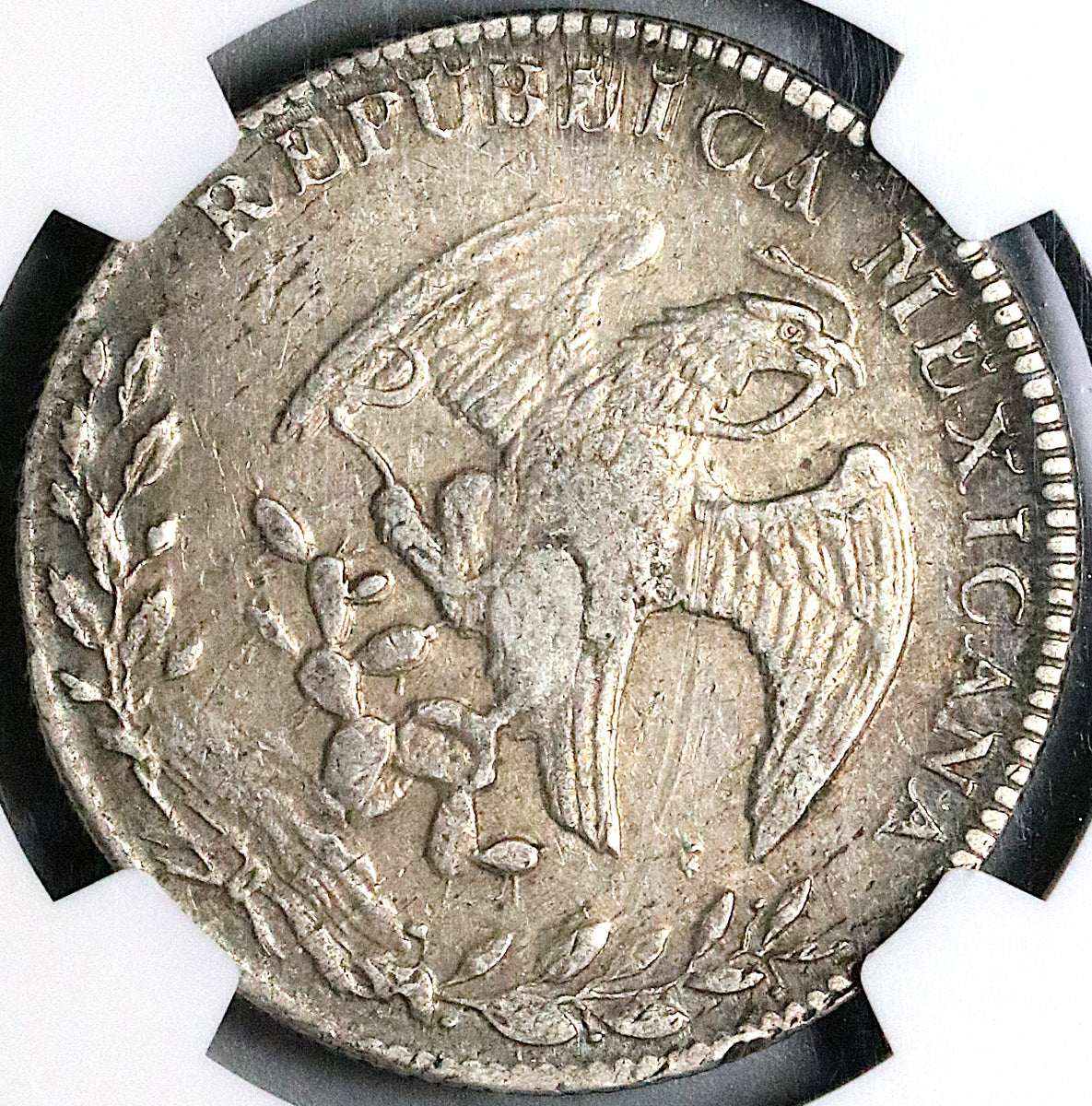 1853/43-Ca NGC XF Mexico 8 Reales Chihuahua Cap Rays Silver Coin (2302 ...