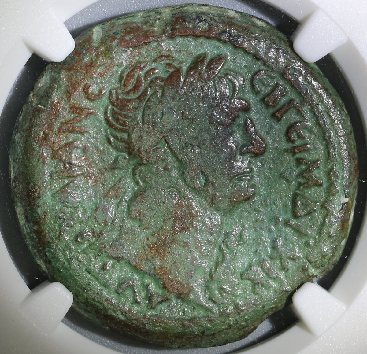 111 NGC Ch F Trajan Alexandria Egypt AE Drachm Emperor Riding Elephant ...