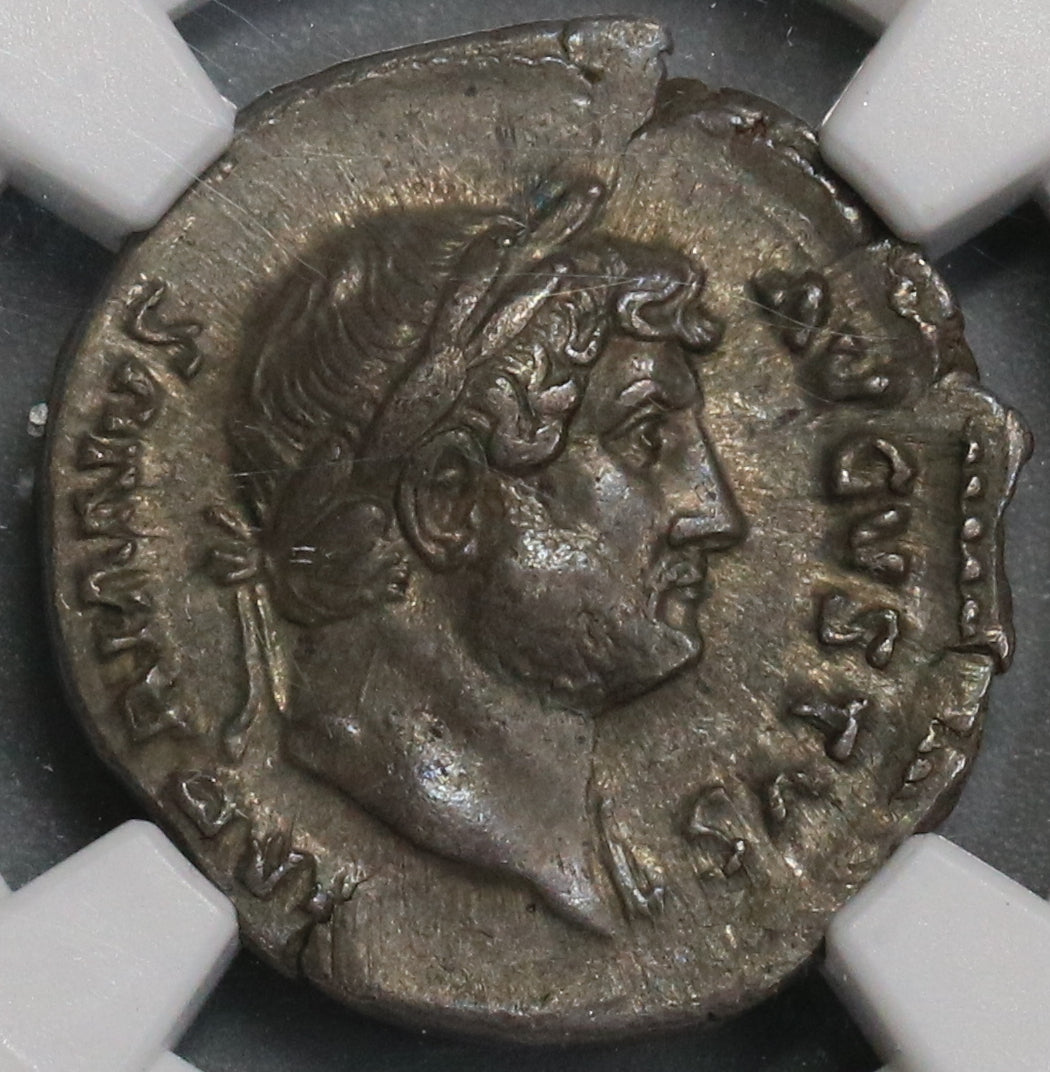 125 NGC Ch XF Hadrian Roman Empire Denarius Goddess Pudicitia 5/5 4/5 ...