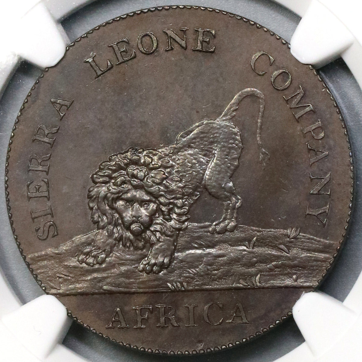 1791 NGC PF 63 Sierra Leone Proof Penny Lion Britain Colony Coin (1902 ...
